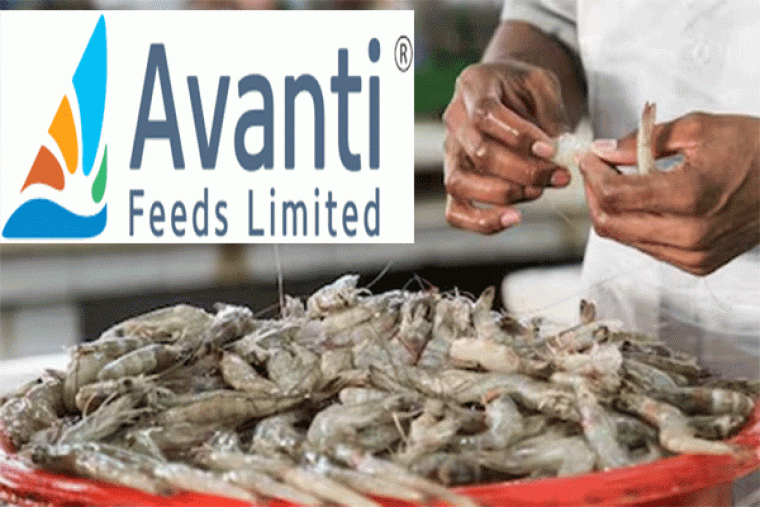Avanti Feeds Ltd Q1 FY26 Concall Decoded – Shrimps, Tariffs & Cat Food ...
